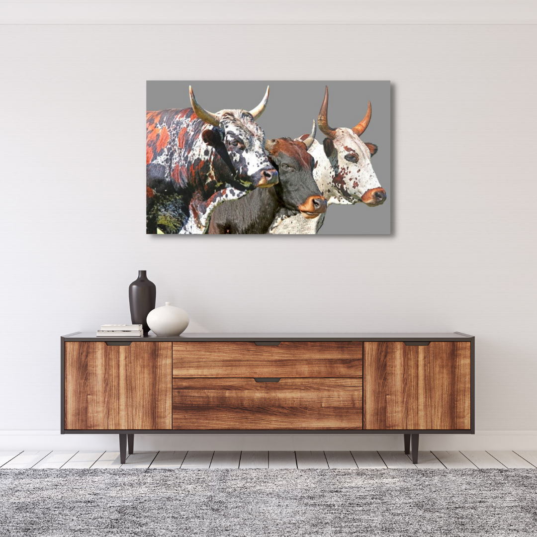 Nguni Cattle 02 - Lolapalooza Prints