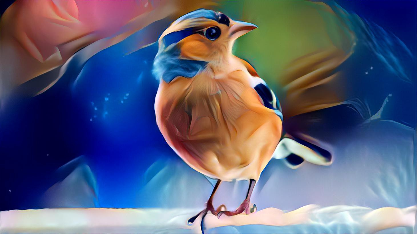 Toni Bird – Lolapalooza Prints